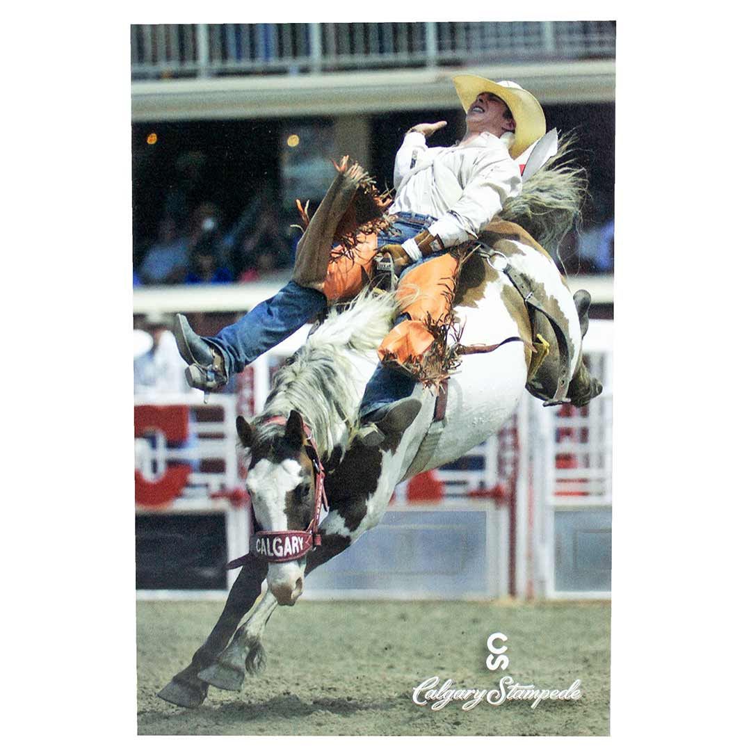 Calgary Stampede Bucking Bronc Postcard | Lammle's – Lammle's Western Wear