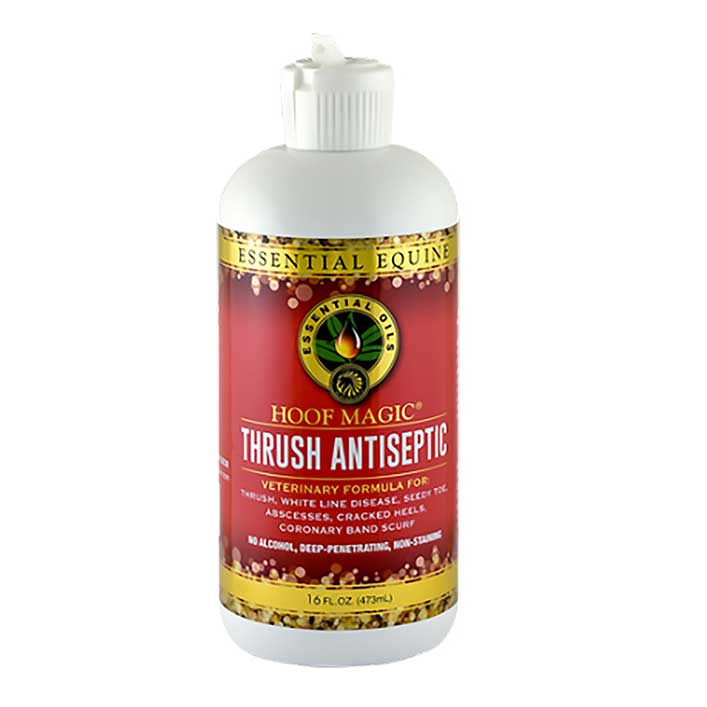 Essential Equine Hoof Magic Thrush Antiseptic | Lammle's – Lammle's ...