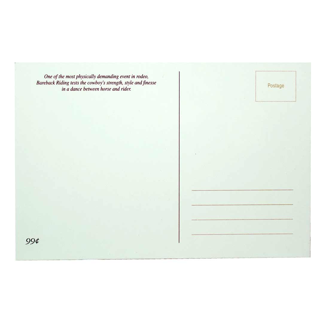 Calgary Stampede Bucking Bronc Postcard | Lammle's – Lammle's Western Wear