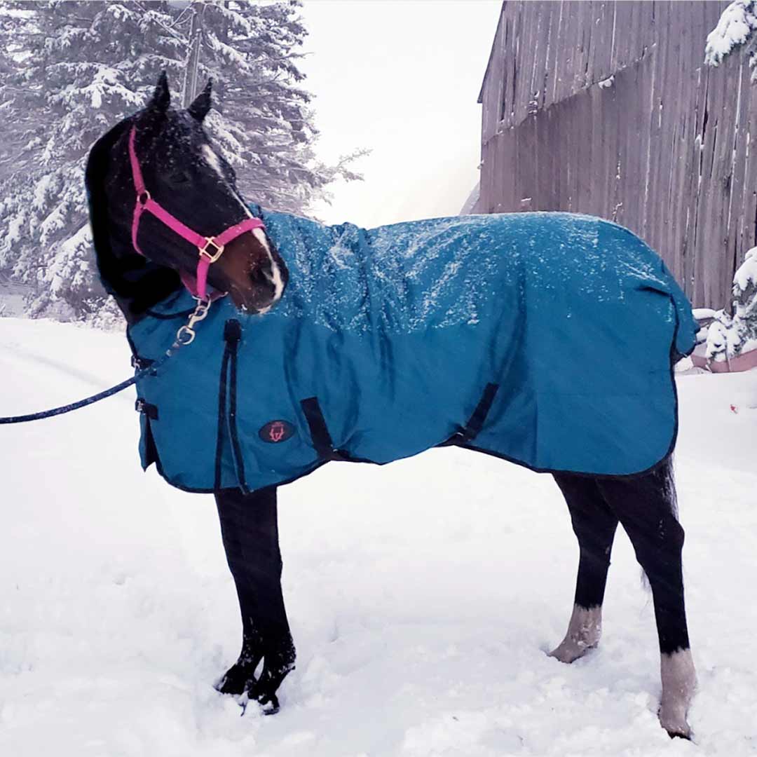 Tech Equestrian Rain Sheet with Detachable Neck | Lammle's – Lammle's ...